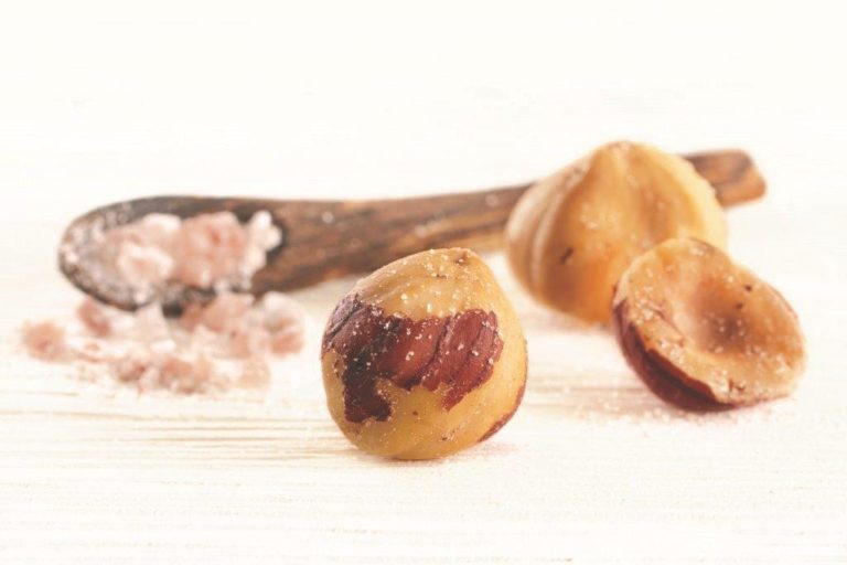 Himalayan Salted Hazelnuts 4oz – Oregon Orchard, Hazelnut Growers of Oregon