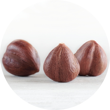 Oregon Orchard, Hazelnut Growers of Oregon